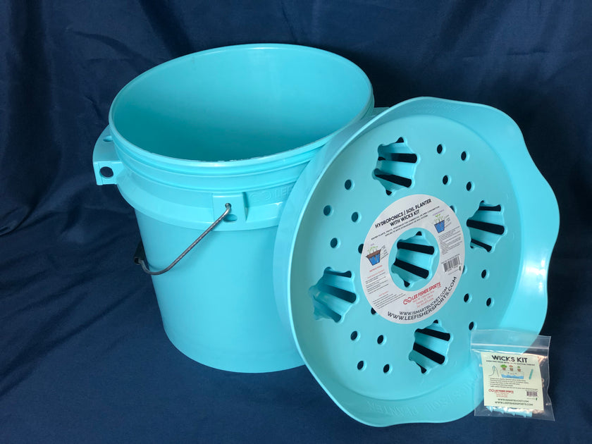Unveiling the Wonders of Hydroponics: Grow Greener, Grow Smarter – Lee ...