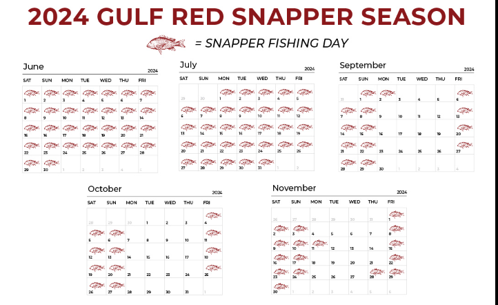 2024 Red Snapper Season in Florida: Everything You Need to Know – Lee ...